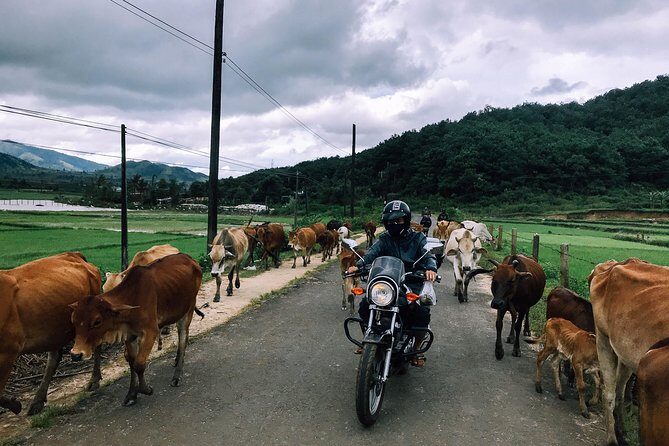 01 Day Easy Rider from Da Lat to Mui Ne by motorbike - A Complete Guide to the Da Lat to Mui Ne Easy Rider Tour