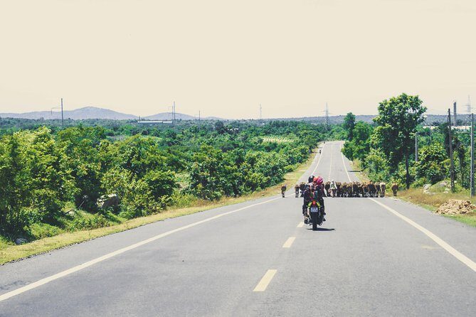01 Day Easy Rider from Da Lat to Mui Ne by motorbike - Deep Dive into the Itinerary