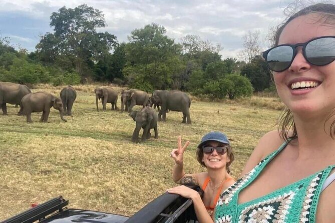 02 Days Fascinating Tour Colombo,Sigiriya,Safari,Dambulla,Kandy - Key Points