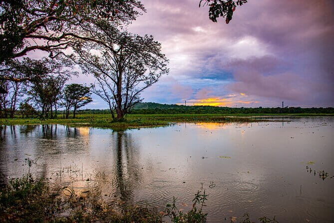 02 Days Private Dambulla & Habarana Tour With Village Experience From Colombo - Introducing the 2 Days Private Dambulla & Habarana Tour With Village Experience