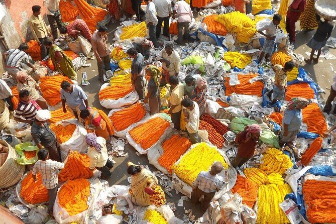 02 Days Private Tour of Kolkata & Sundarbans Day Excursion - Who Should Consider This Tour?