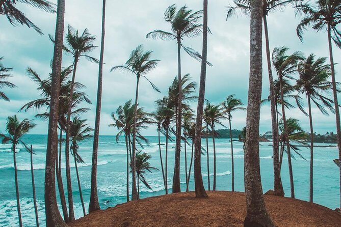 03 Days Beach Holidays in Sri Lanka with Kingfisher - What We Love About This Tour