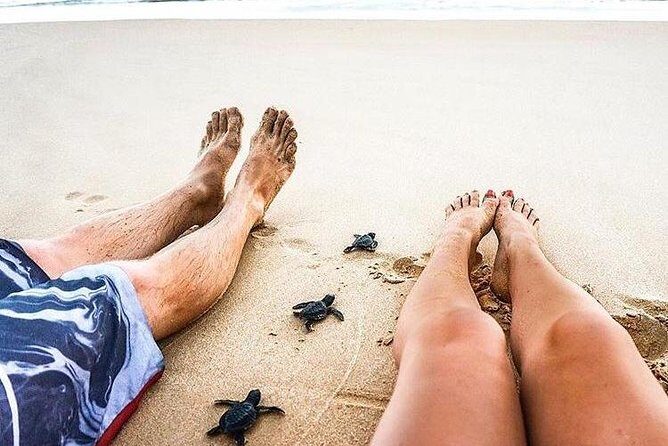 03 Days Beach Holidays in Sri Lanka with Kingfisher - Who Should Consider This Tour