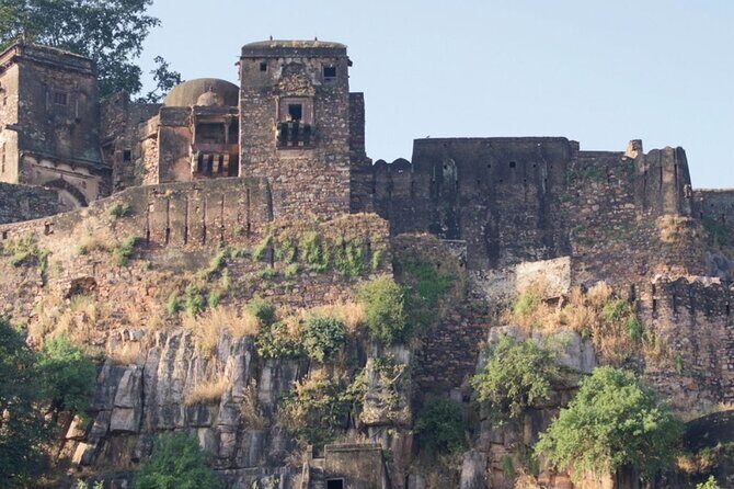 03 Days Private Ranthambore Wildlife Safari Tour From Delhi - Who is this tour perfect for?