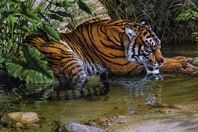 03 Days Private Wildlife Ranthambore Tiger Tour from Jaipur - FAQ