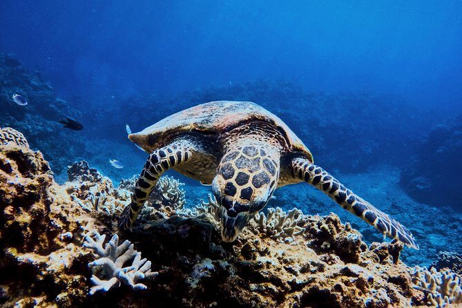 03 Days Sri Lanka Tour - Wild Life Hotspots - What Travelers Say