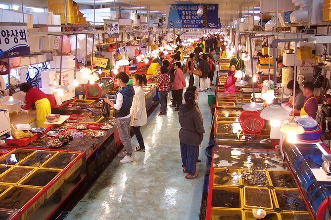 03 Hour Pedicab Explore Nha Trang City (Small Group Tour) - The Sum Up: Who Will Love This Tour?