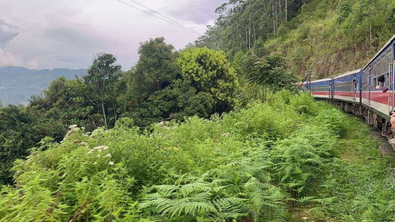 04 Days Explore Sri Lanka's Treasure - Key Points