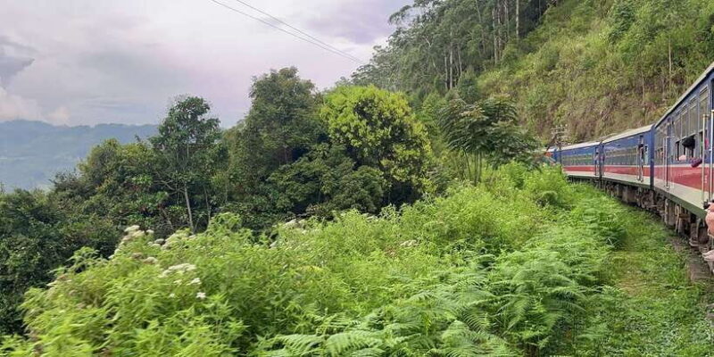 04 Days Explore Sri Lanka's Treasure - FAQs