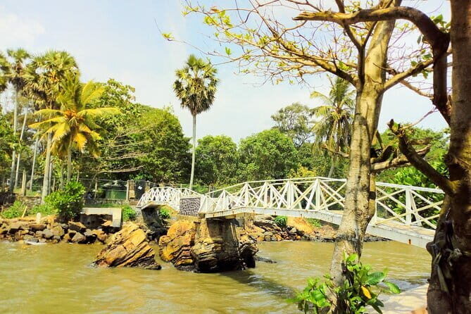 04 Days Tour Package, Sri Lanka - Private & Customize Tour - Transportation and Comfort