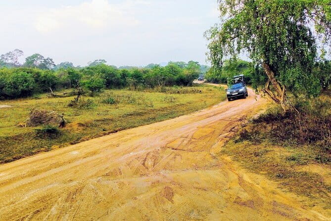 04 Days Tour Package, Sri Lanka - Private & Customize Tour - Who Will Love This Tour?