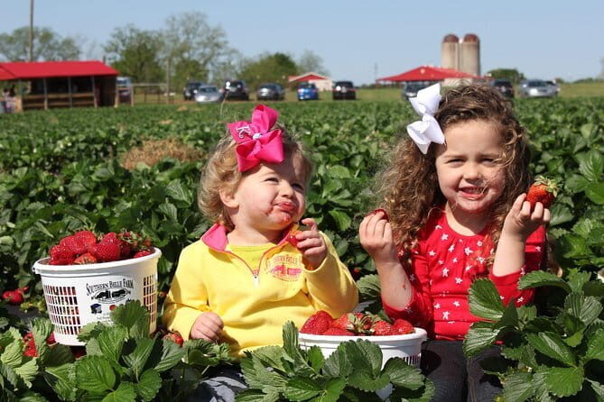 04 Days Tour - Sigiriya , Kandy and Nuwara Eliya - Key Points