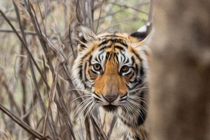 05 Days - Private Luxury Golden Triangle Tour with Ranthambore - Introduction and First Impressions