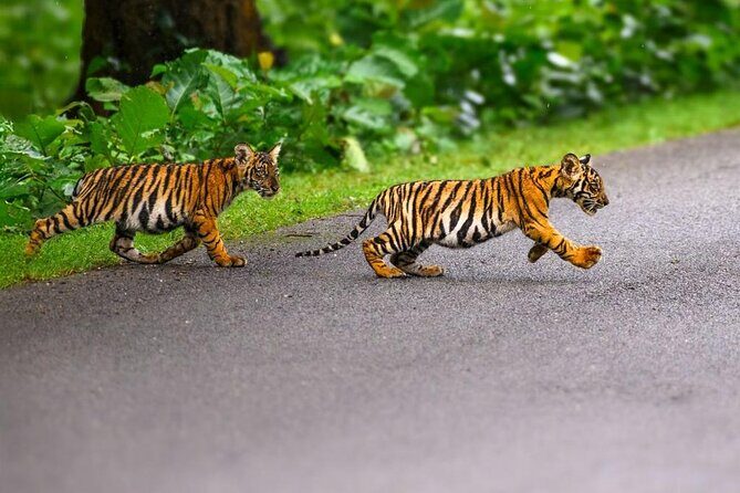 05 Days - Private Luxury Golden Triangle Tour with Ranthambore - FAQ