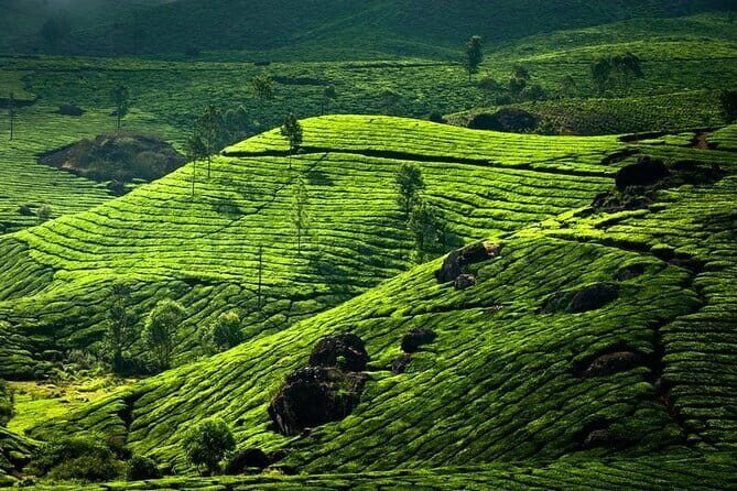 06 Days God's Own Country Kerala - FAQ
