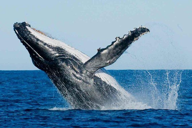 07 Days Amazing Experience - Overview: A Well-Paced Introduction to Sri Lanka