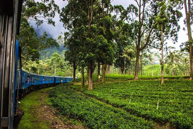 07 Days Amazing Experience - The Value of This Tour