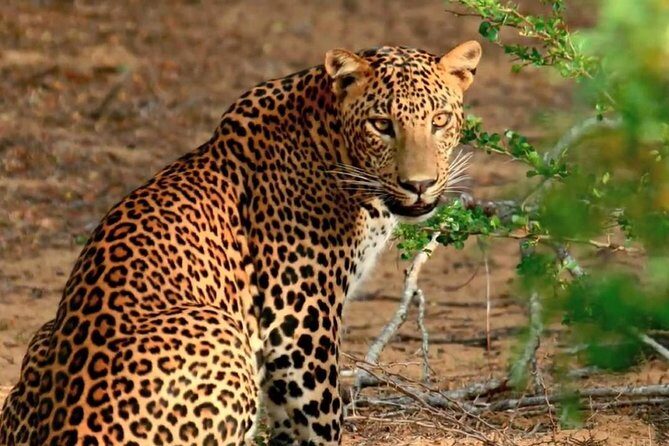 07 Days Amazing Experience - Who Should Consider This Tour?