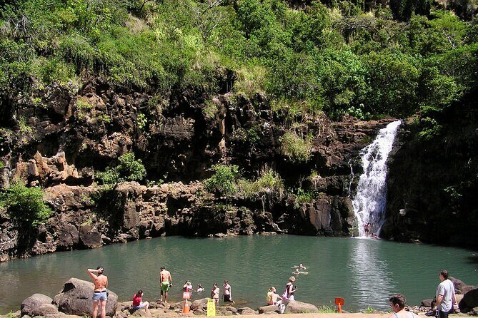 1/2 Circle Island & North Shore Fun with The Surf Bus - Key Points