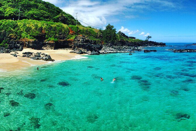 1/2 Circle Island & North Shore Fun with The Surf Bus - The Sum Up