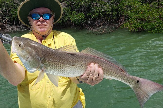 1/2 Day Afternoon Charter Fishing Naples Marco Island Sanibel - Key Points