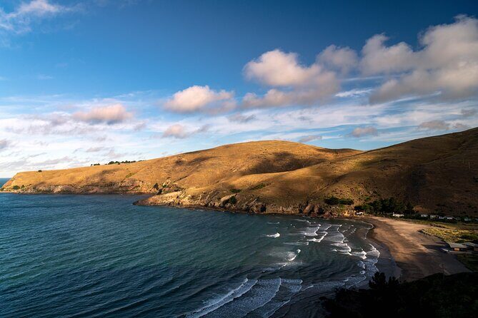 1/2-day Christchurch Scenic Highlights (Private Tour) - What We Like: The Practical and Personal Elements