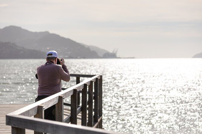 1/2-day Christchurch Scenic Highlights (Shore Excursion) - Who Should Consider This Tour?