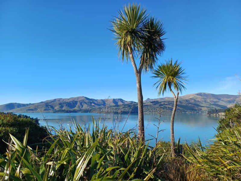 1/2-Day Christchurch Scenic Highlights Small Group Tour - The Practicalities: What You’ll Experience