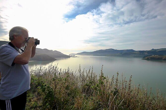 1/2-day Christchurch Scenic Highlights (Small Group Tour) - An In-Depth Look at the Christchurch Scenic Highlights Tour