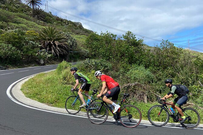 1/2 day guided roadbike tour - Is This Tour Worth the Price?