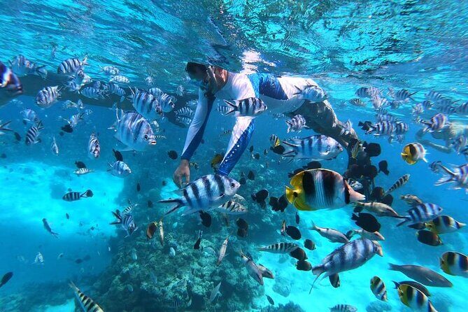 1/2 day Tahaa coral garden - departure Raiatea / ideal for cruise passengers - What to Expect on the Coral Garden Tour