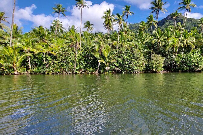 1/2 day "Treasures of Raiatea" by boat - ideal for cruise passengers - Final Thoughts: Is It Worth It?