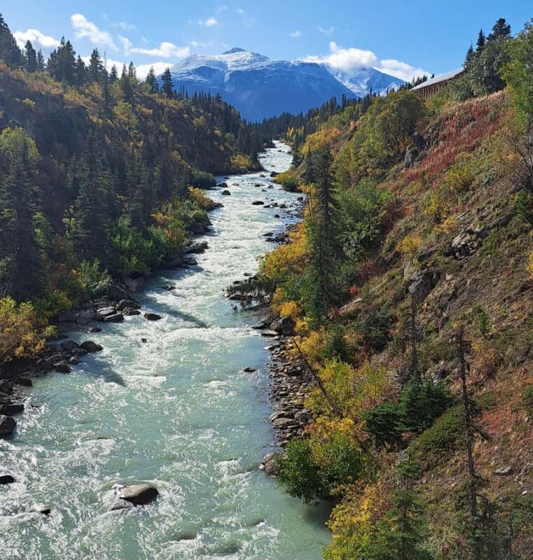 1/2 Day Yukon and Suspension Bridge Adventure - Key Points