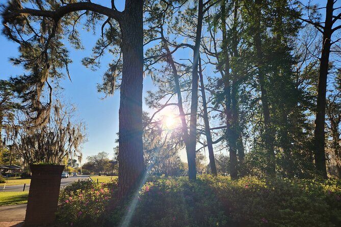 1.25-Hour Wilmington E-Bike Sunset Ride - Authentic Traveler Insights