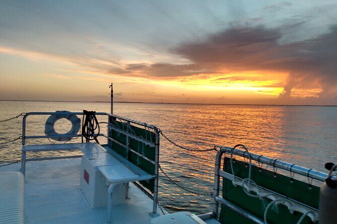 1.5 Hour Bay Side Key Largo Sunset Cruise on a Spacious Catamaran - Key Points