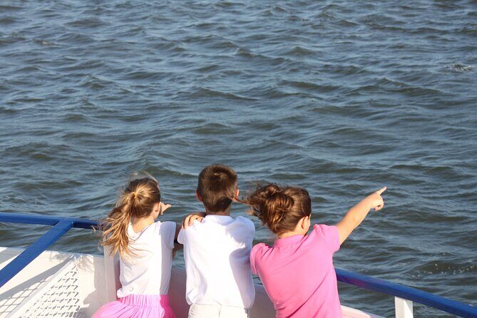 1.5-Hour Charleston Harbor Cruise with Live Narration - An In-Depth Look at the Charleston Harbor Cruise