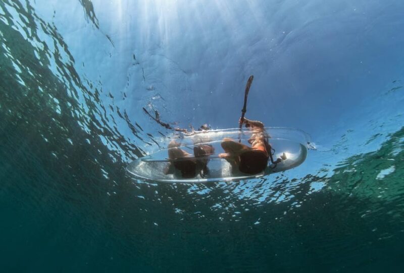 1.5-hour Clear Kayak Rentals: Explore the Underwater World - Why Is This Tour a Good Deal?