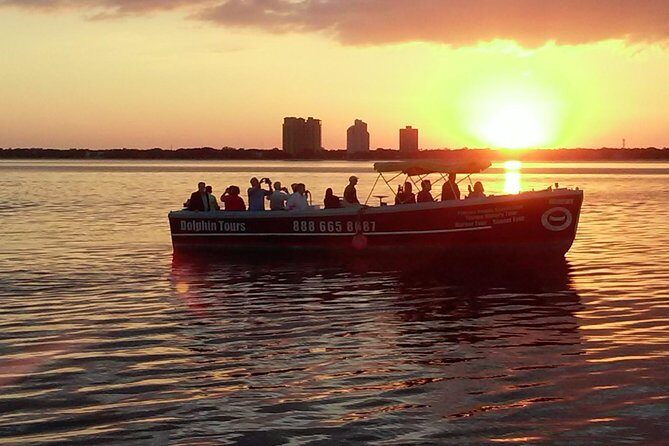 1.5-hour Dolphin Sightseeing Cruise from Tampa - An In-Depth Look at What to Expect