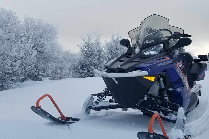1.5-Hour Guided Snowmobiling Adventure - Value and Pricing: What’s the Real Worth?