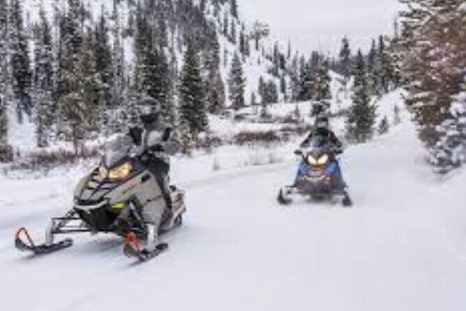 1.5-Hour Guided Snowmobiling Adventure - Final Thoughts