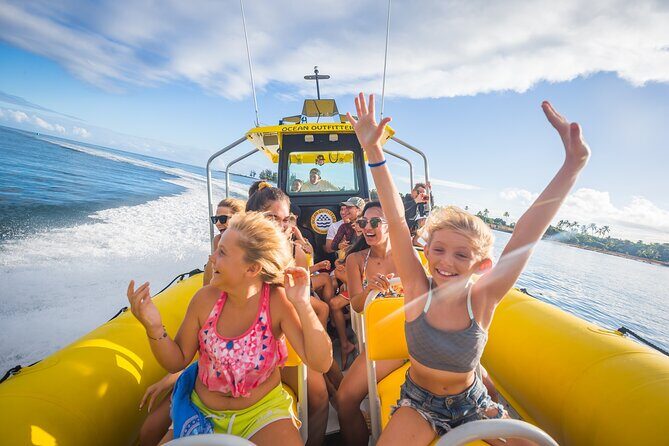 1.5 -Hour Guided Whale and Marine Life Tour - Final Thoughts: Who Will Love This Tour?