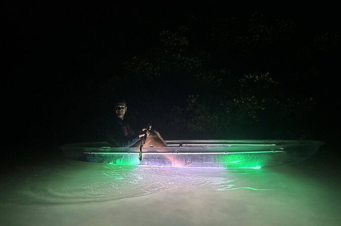 1.5-Hour LED Illuminated Clear Kayak Night Adventure Tour - Who Will Love This Experience?