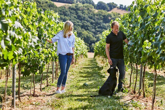1.5-Hour Swanaford Vineyard Tour And Tasting Experience - A Closer Look at the Swanaford Vineyard Tour and Tasting Experience