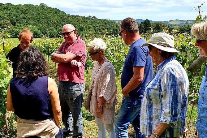 1.5-Hour Swanaford Vineyard Tour And Tasting Experience - What to Expect from the Swanaford Vineyard Tour