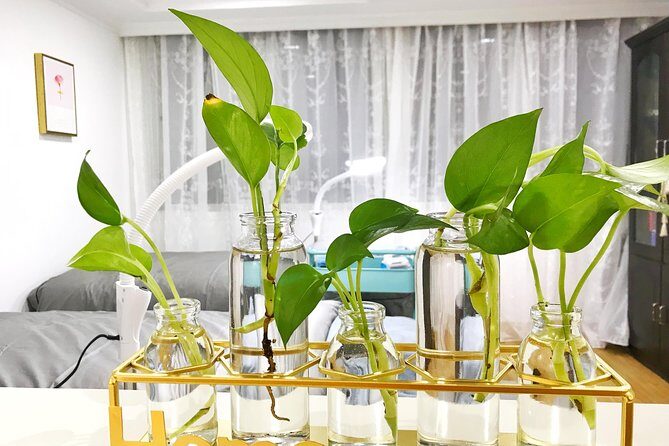 1.5-Hour VIP Manicure Experience in Chengdu Panda Style - What to Expect from the Panda Nail Experience