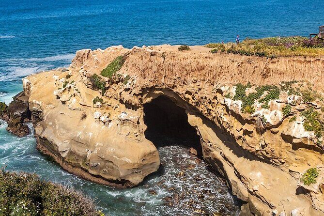 1.5 Hour Walking Tour from La Jolla in San Diego - An Introduction to La Jolla: Why a Tour?
