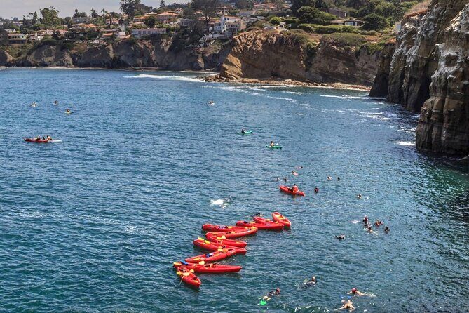 1.5 Hour Walking Tour from La Jolla in San Diego - Summing Up: Is It Worth It?