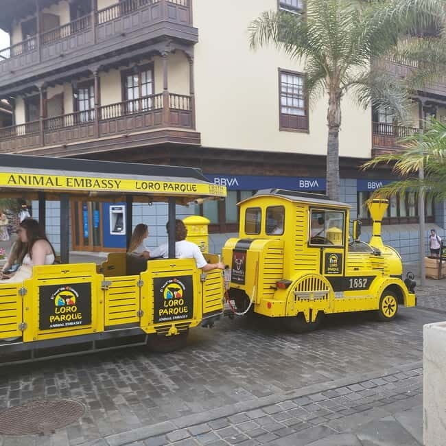 1.5-hour walking tour of Puerto de la Cruz, Tenerife. - Introduction: What’s this tour all about?