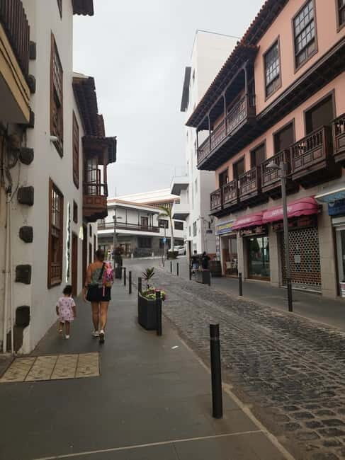 1.5-hour walking tour of Puerto de la Cruz, Tenerife. - Practical details: Making the most of your tour