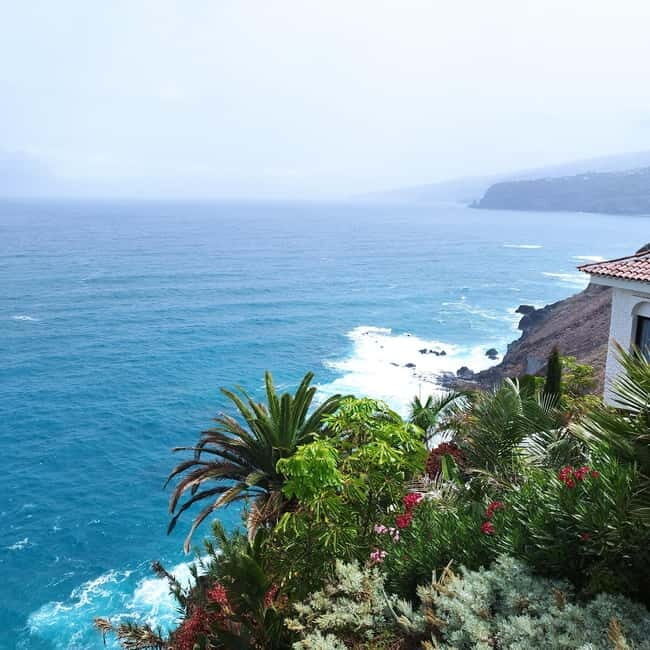 1.5-hour walking tour of Puerto de la Cruz, Tenerife. - Why this tour is a good value